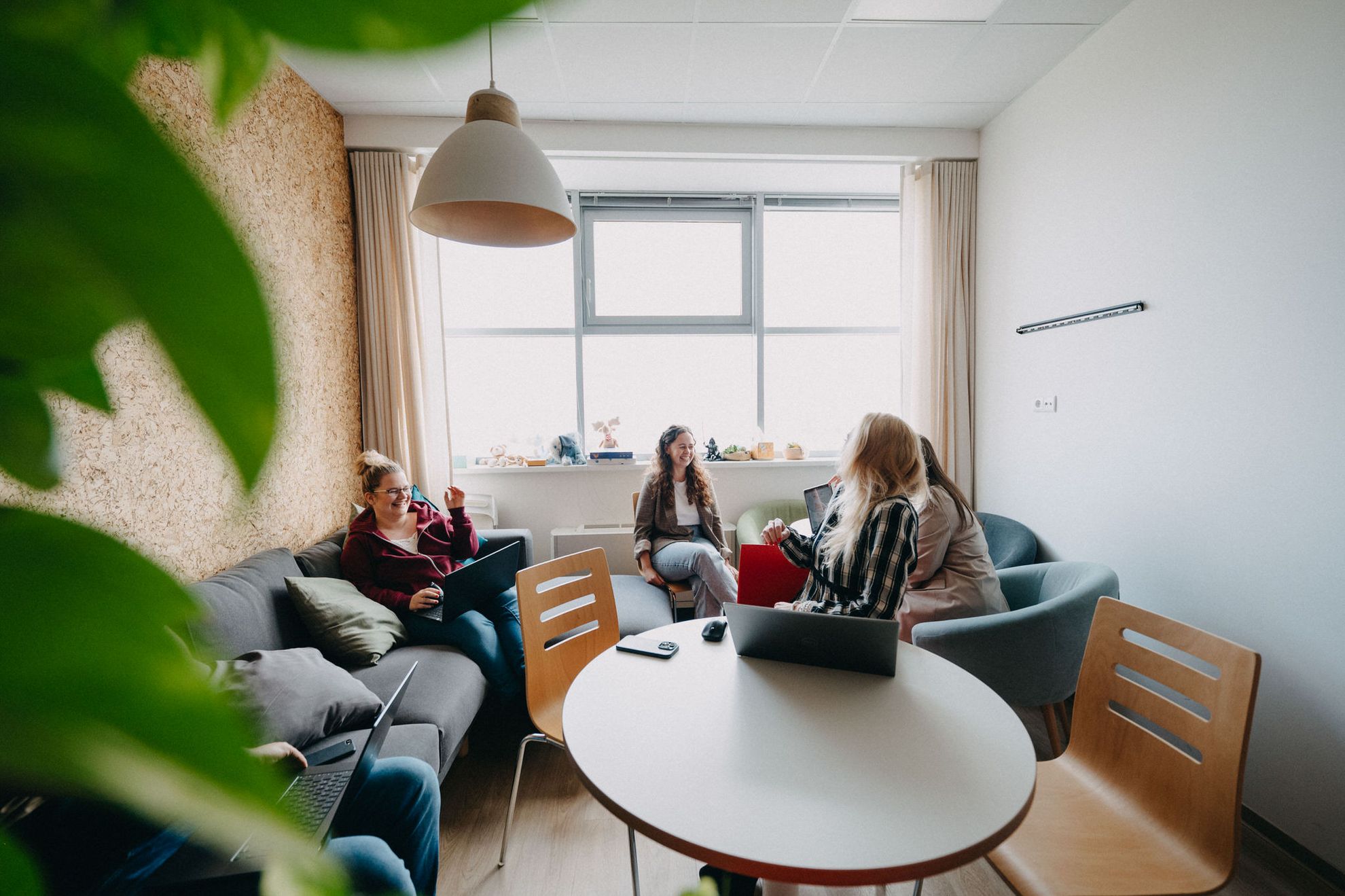 Společnosti | Cocuma