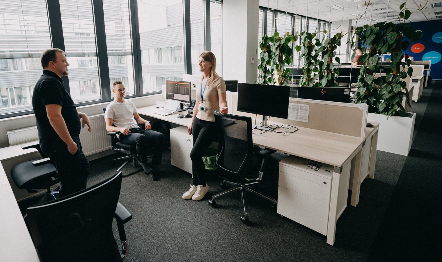 nexonera – Be in good company | Cocuma