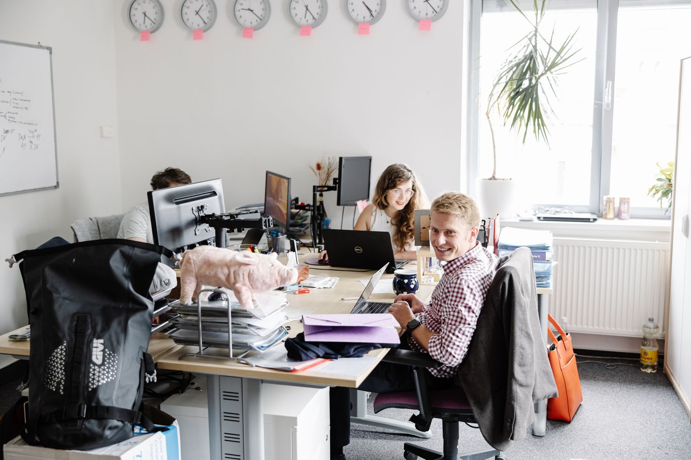 Purple Technology – Be in good company | Cocuma